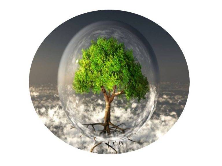 Composição do SISNAMA - Sistema Nacional de Meio Ambiente